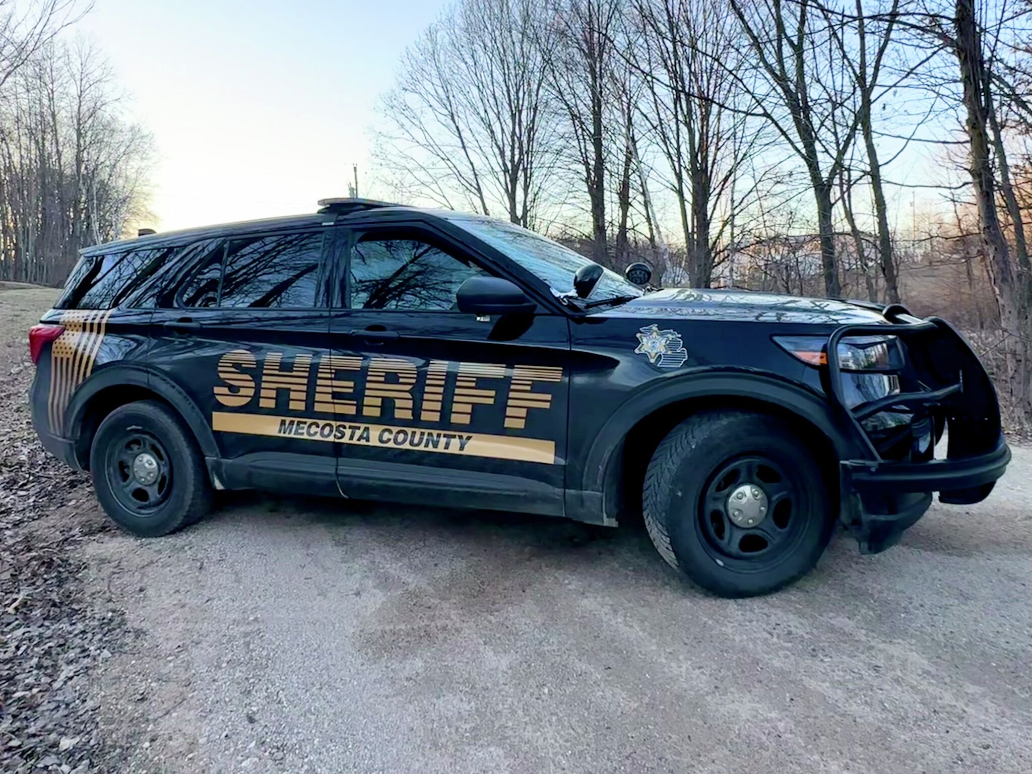 Mecosta County Sheriff's blotter Jan. 2-8