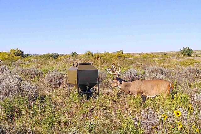 Texas hunting ranch once owned by T. Boone Pickens hits market