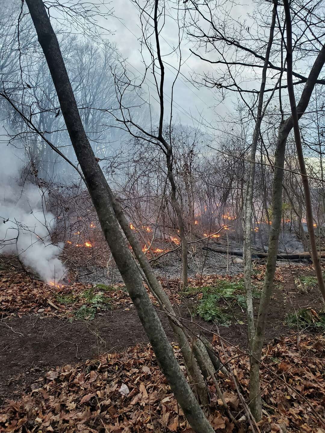 Officials: Torrington fire big enough to be seen from Mass. is put out