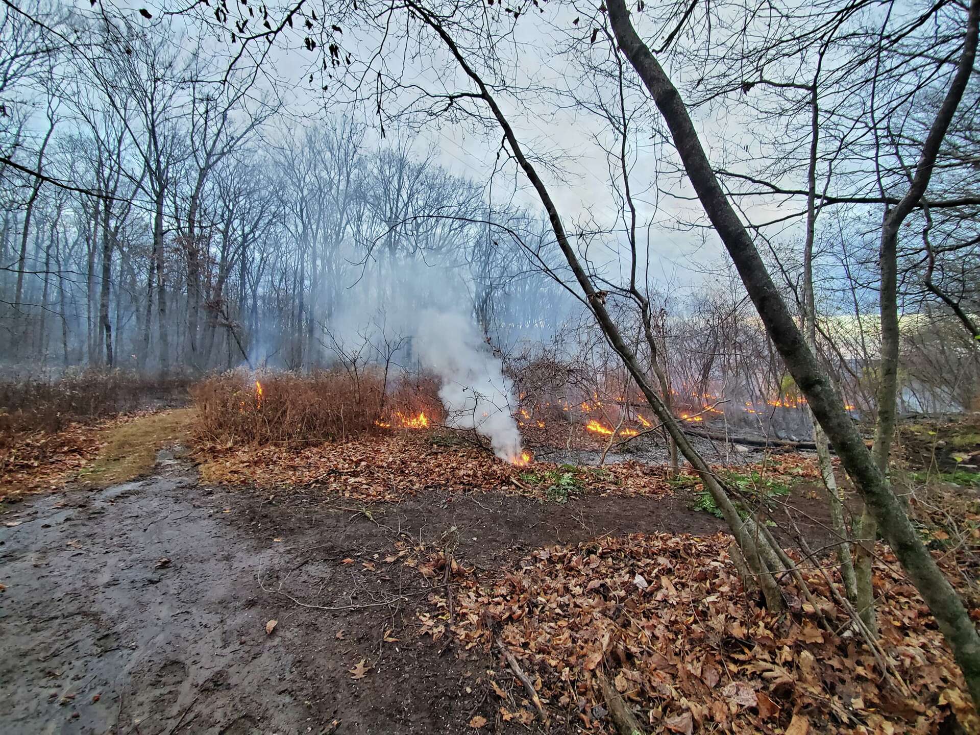 Officials: Torrington fire big enough to be seen from Mass. is put out