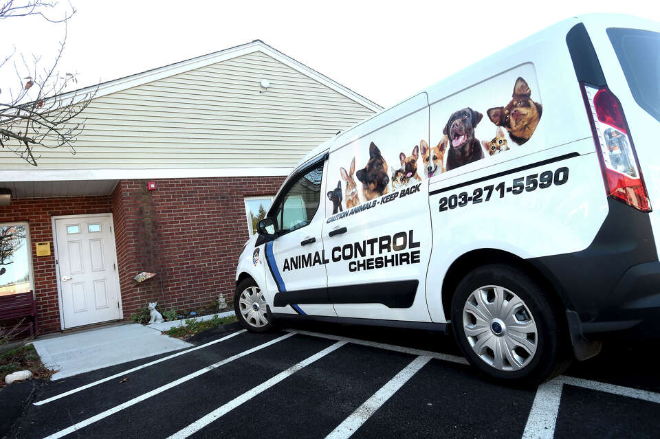 Cheshire animal shelter cited for multiple violations by state