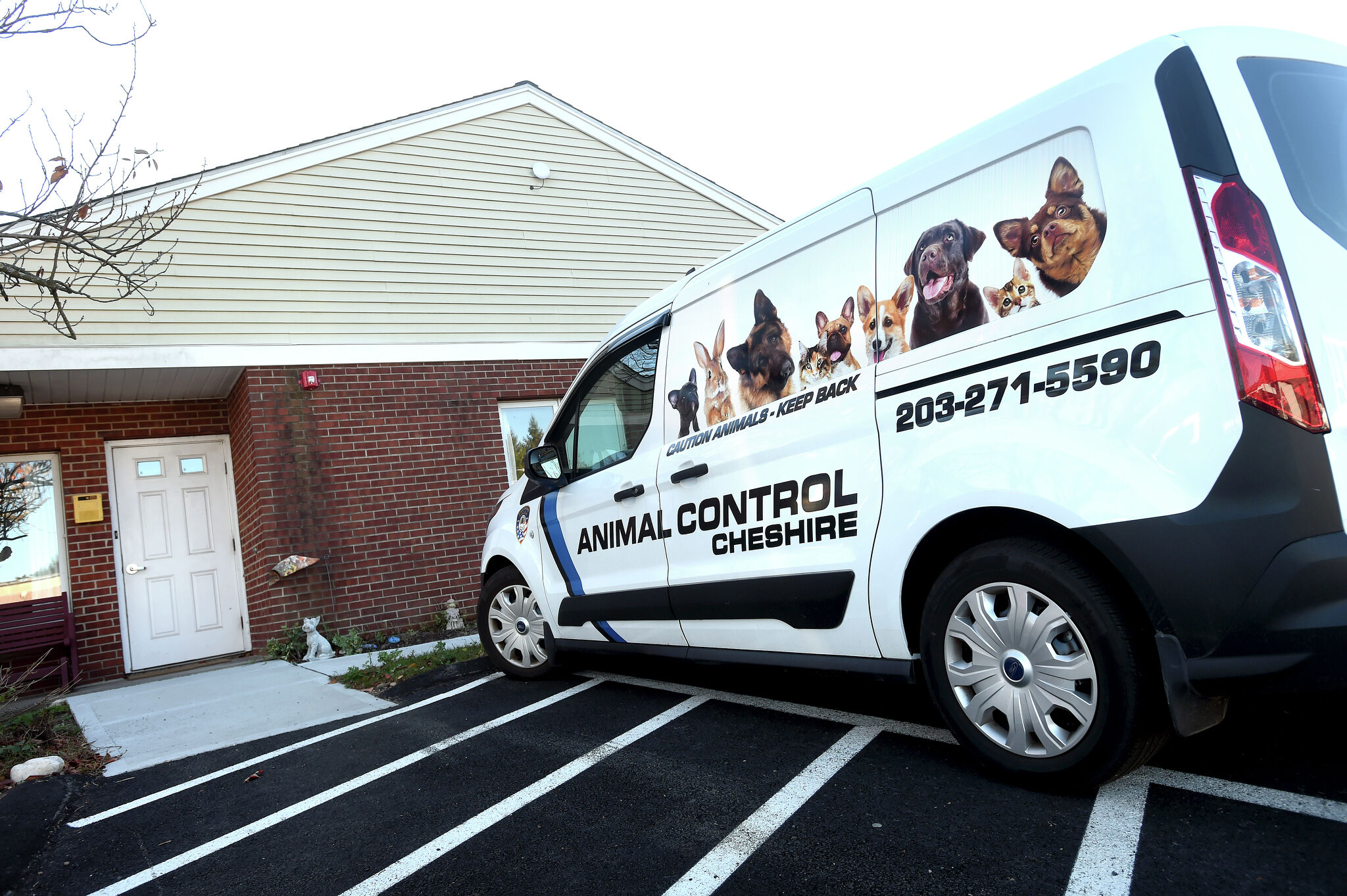 Cheshire animal shelter cited for multiple violations by state