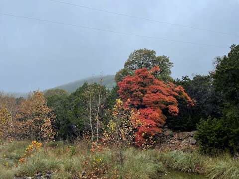 How to see fall foliage in Texas: Here's an update from Lost Maples