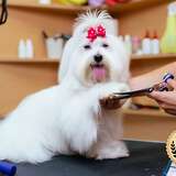 What Connecticut flyers should know about Avelo’s West Coast exit