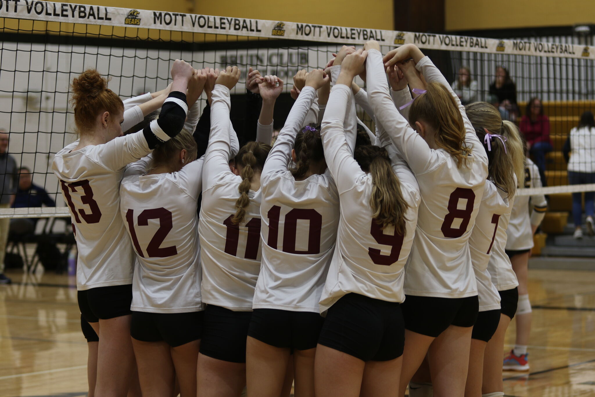 Cass City volleyball makes 3rd straight state semifinal