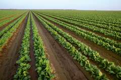 Calif.'s Central Valley sinking at record-breaking pace, study shows