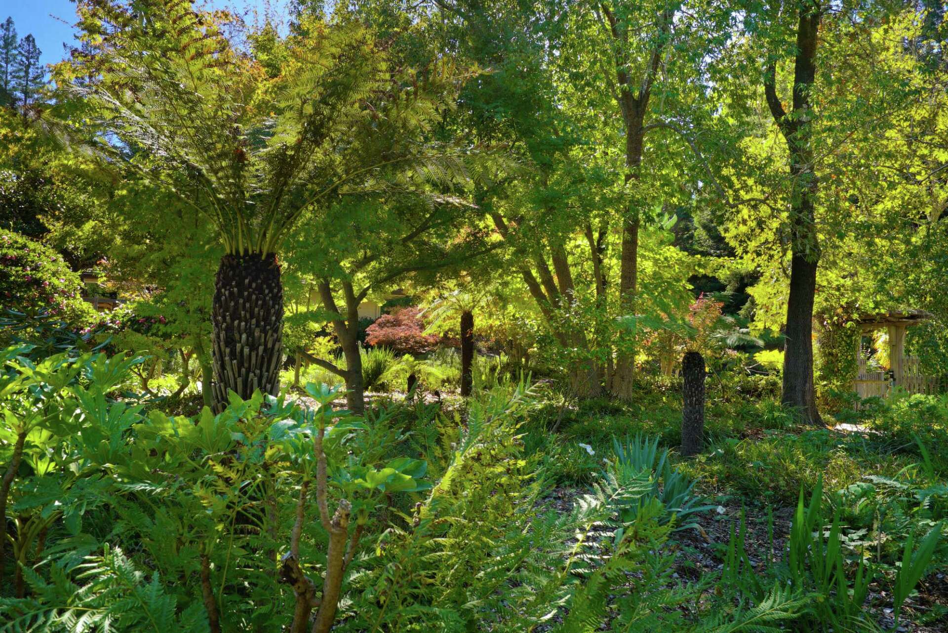 Bay Area home of Peanuts creator Charles M. Schulz listed for $3.25M