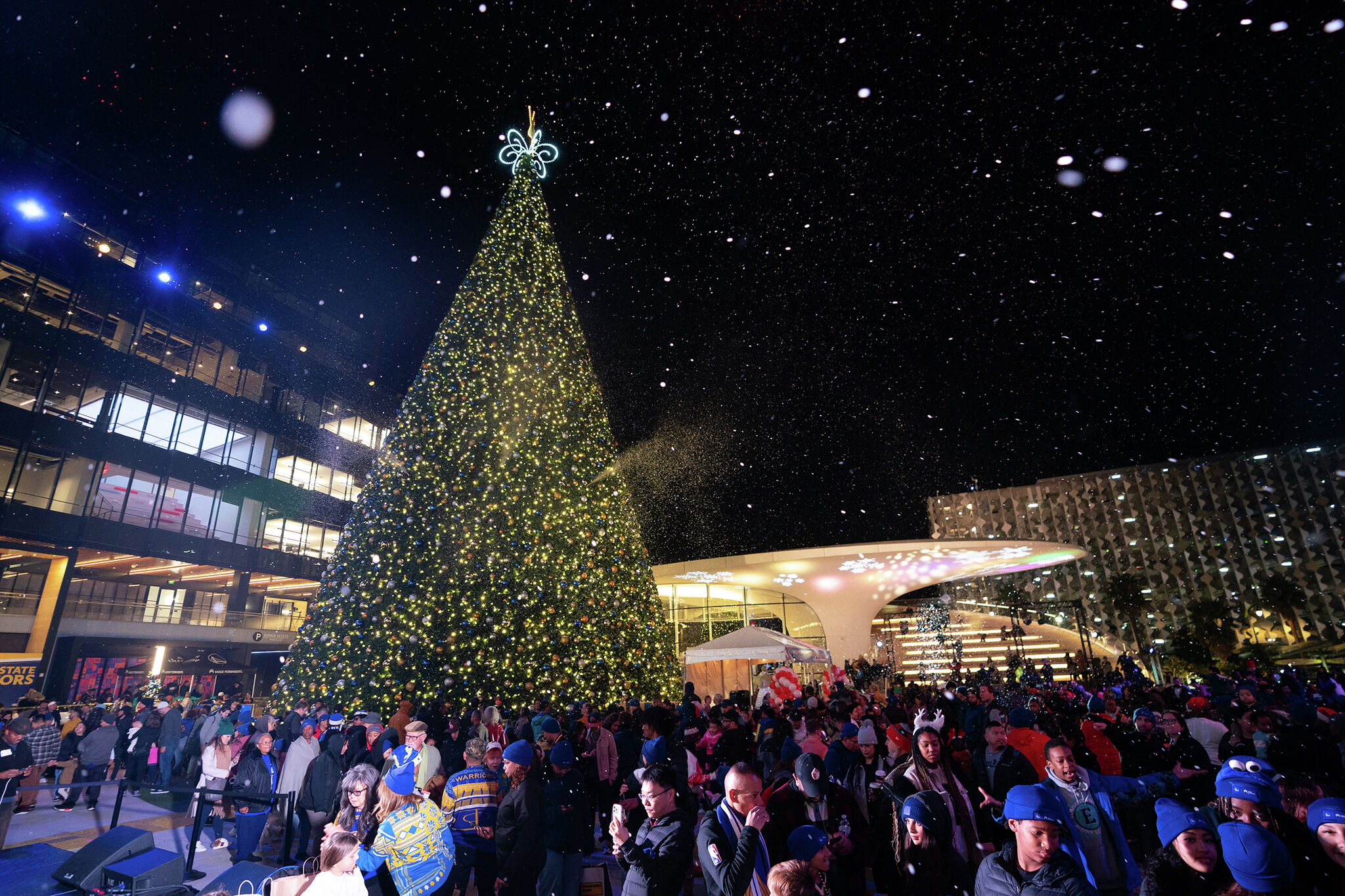 The best holiday lights to see in the Bay Area