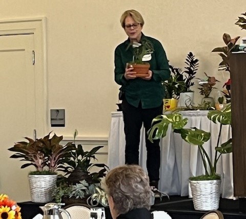 Christian Women's Connection to host 'Christmas Music' luncheon