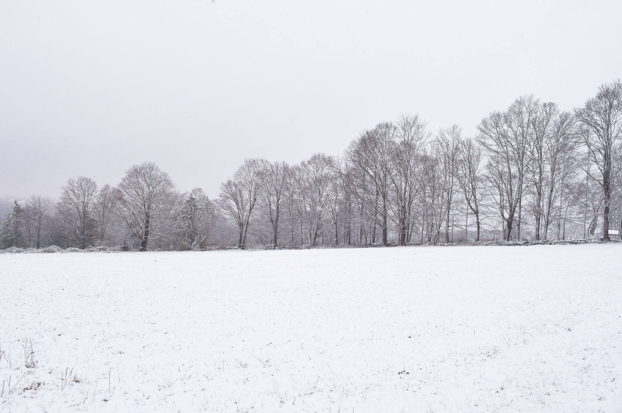 Forecasters increase projected CT snowfall totals from storm this week
