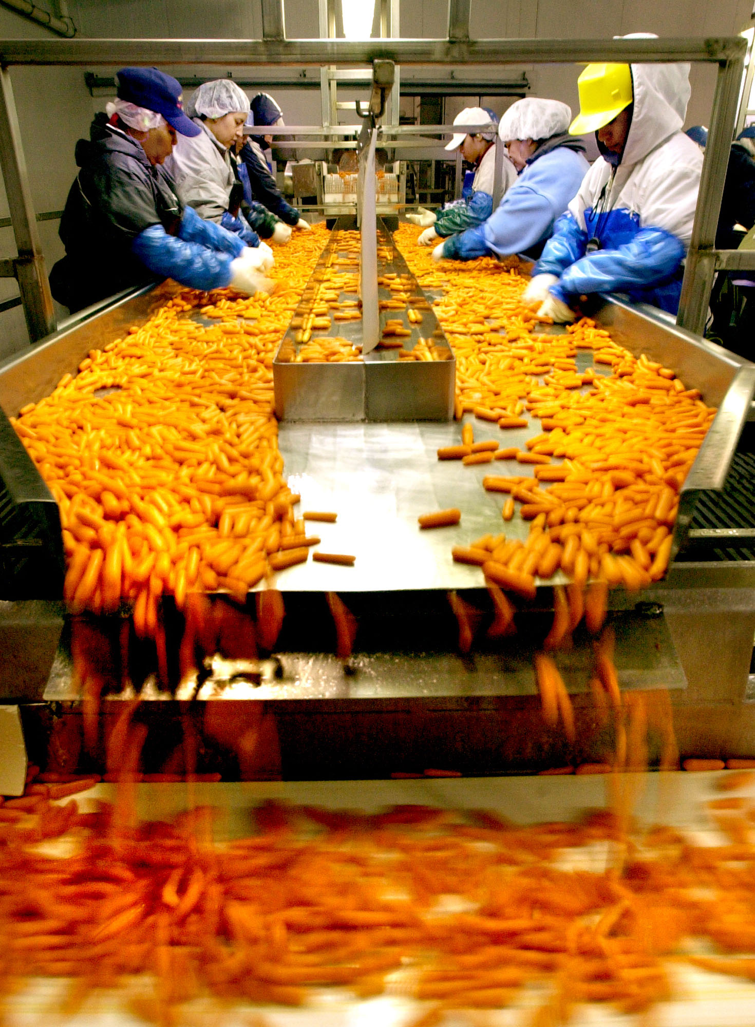 NY woman with kidney failure from E. coli sues Wegmans, carrot farm