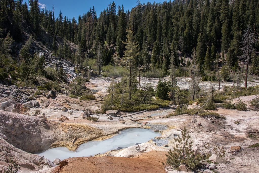 Native Calif. species seen near popular park 100 years after vanishing
