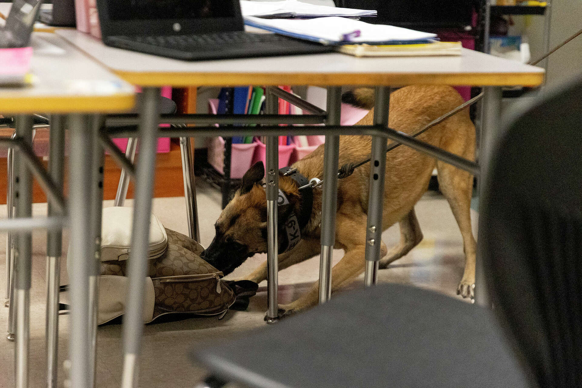 Behind the alarming, post-pandemic rise in school gun incidents