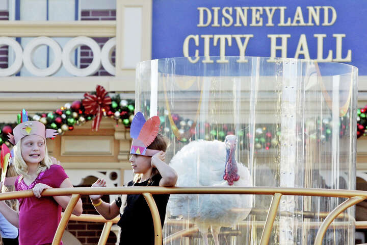 Where do the pardoned turkeys go? For years, it was Disneyland.