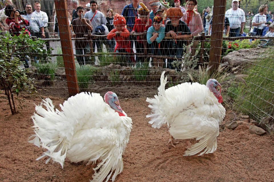 Where do the pardoned turkeys go? For years, it was Disneyland.
