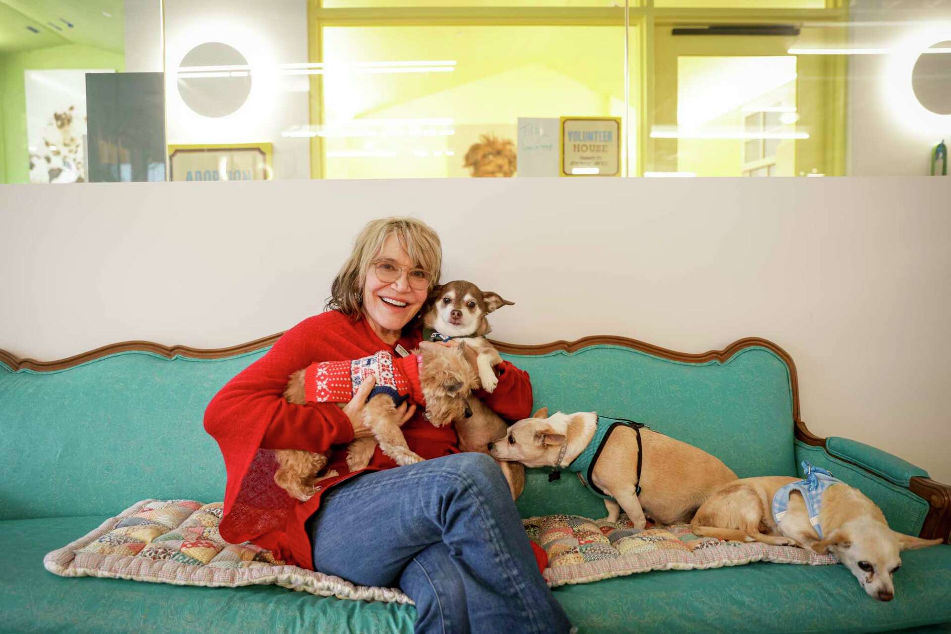 Muttville’s new home a place ‘where people can fall in love’ with dogs