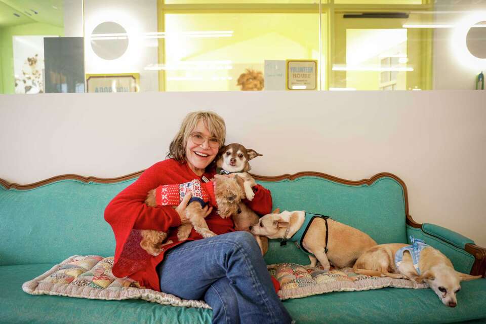 Muttville’s new home a place ‘where people can fall in love’ with dogs