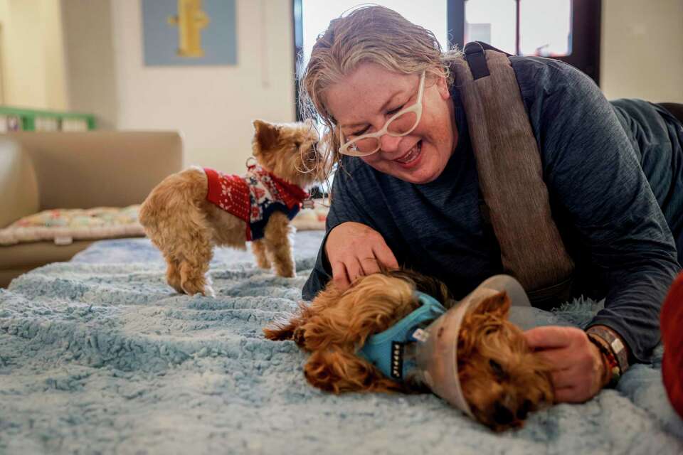 Muttville’s new home a place ‘where people can fall in love’ with dogs