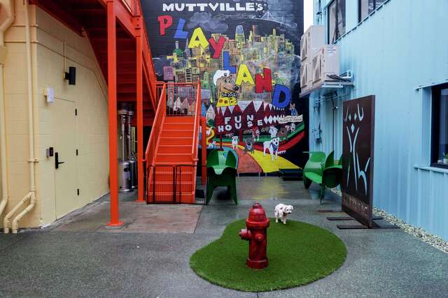 Muttville’s new home a place ‘where people can fall in love’ with dogs