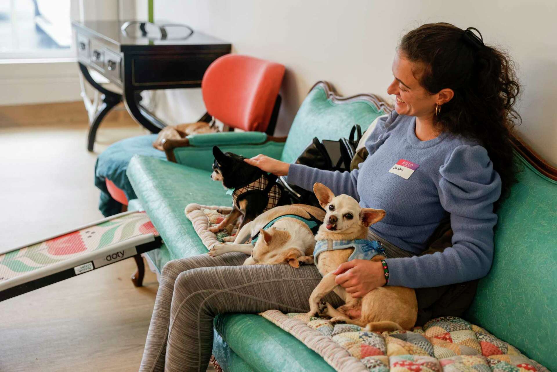 Muttville’s new home a place ‘where people can fall in love’ with dogs