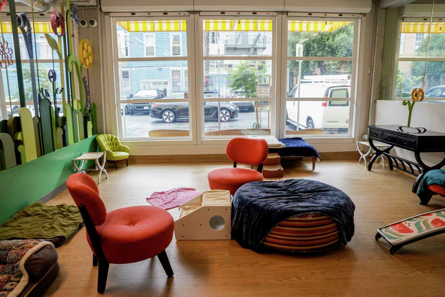 Muttville’s new home a place ‘where people can fall in love’ with dogs