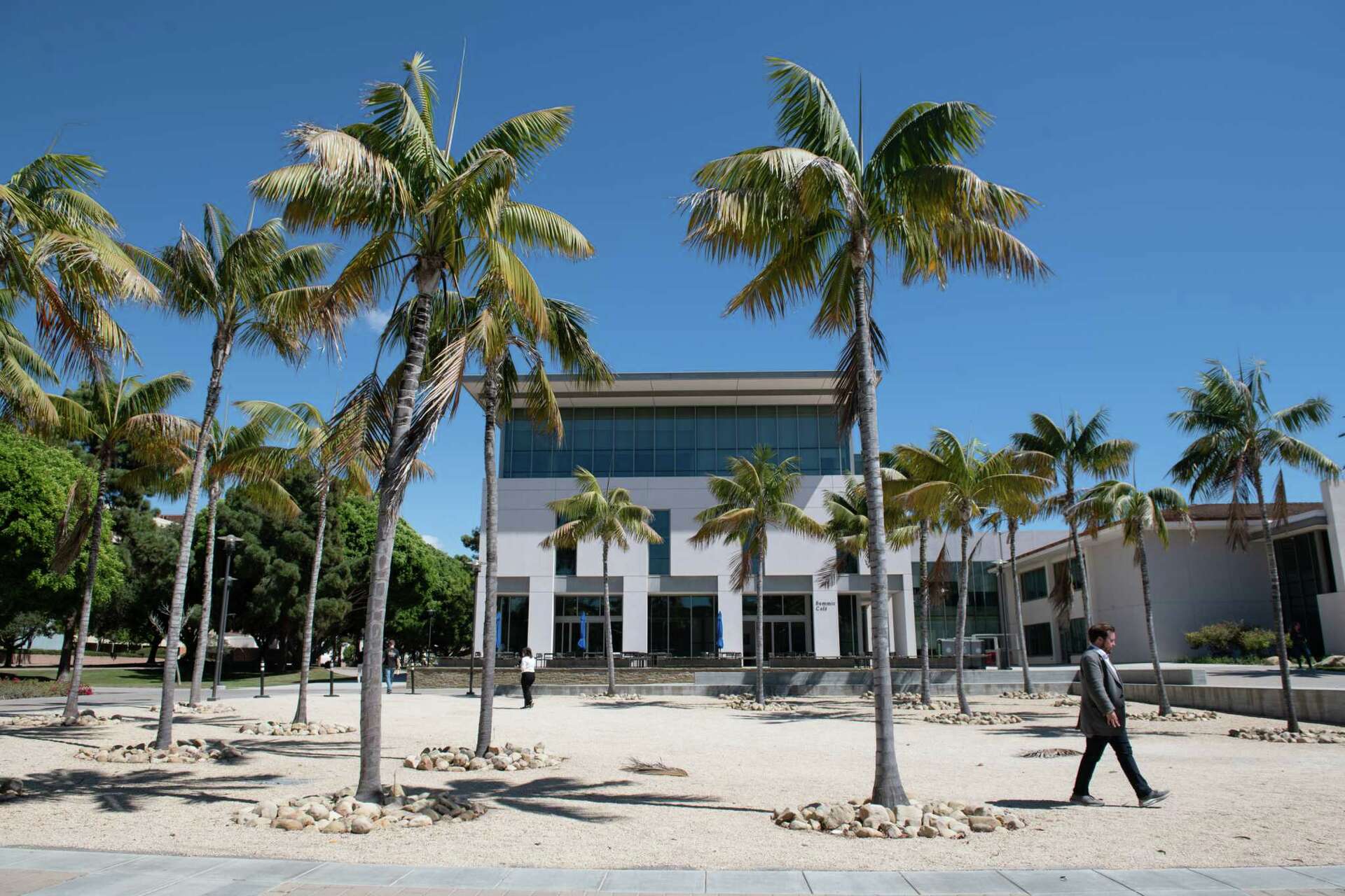 What to do when you get wait-listed by UCLA, UC Berkeley or another UC