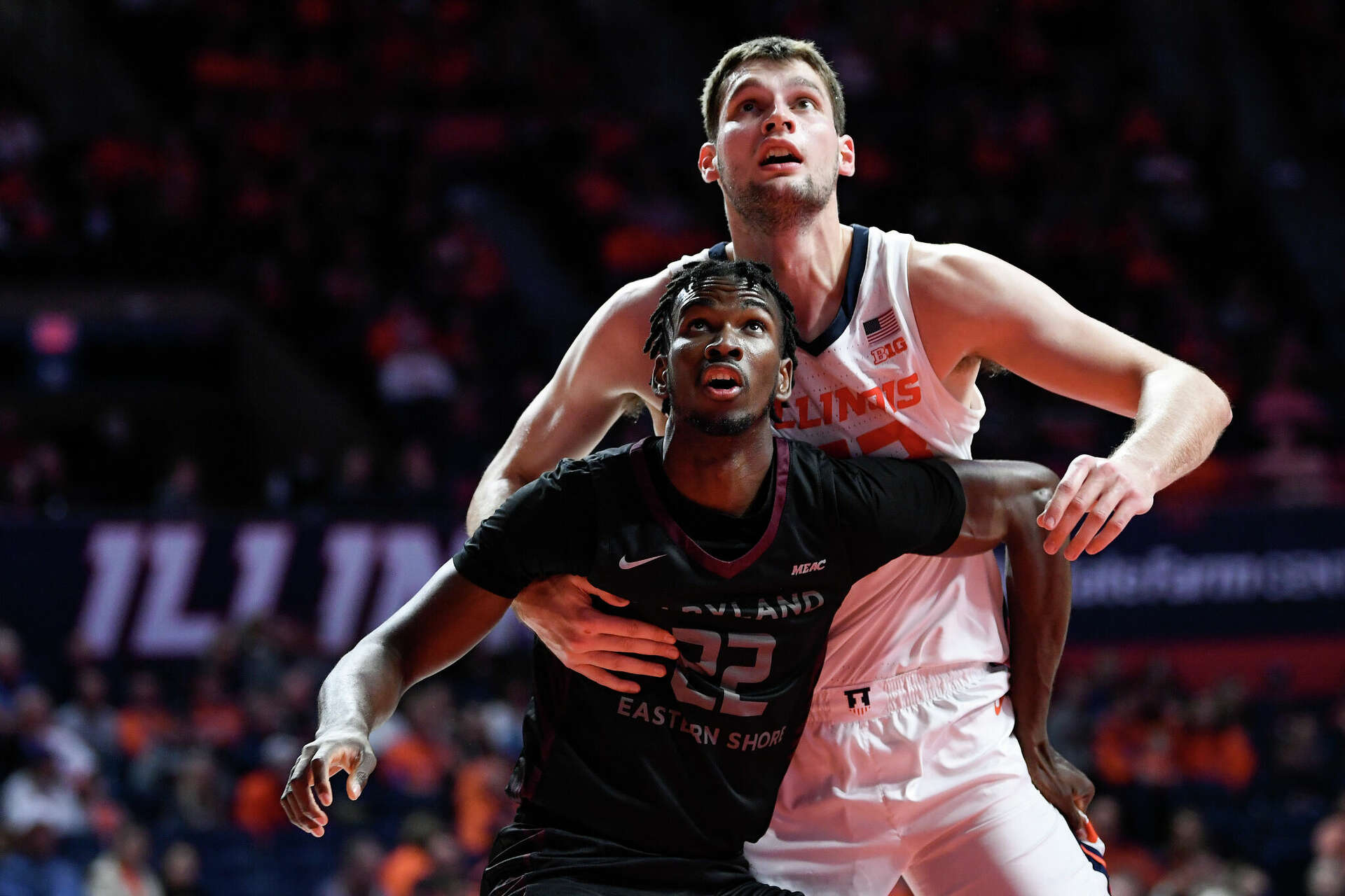 Tomislav Ivisic: 3 facts on the Illinois basketball center