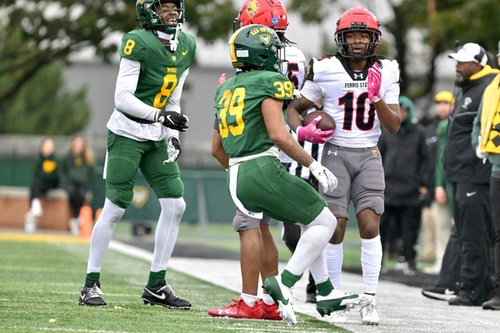 Ferris State football: Let the playoffs begin
