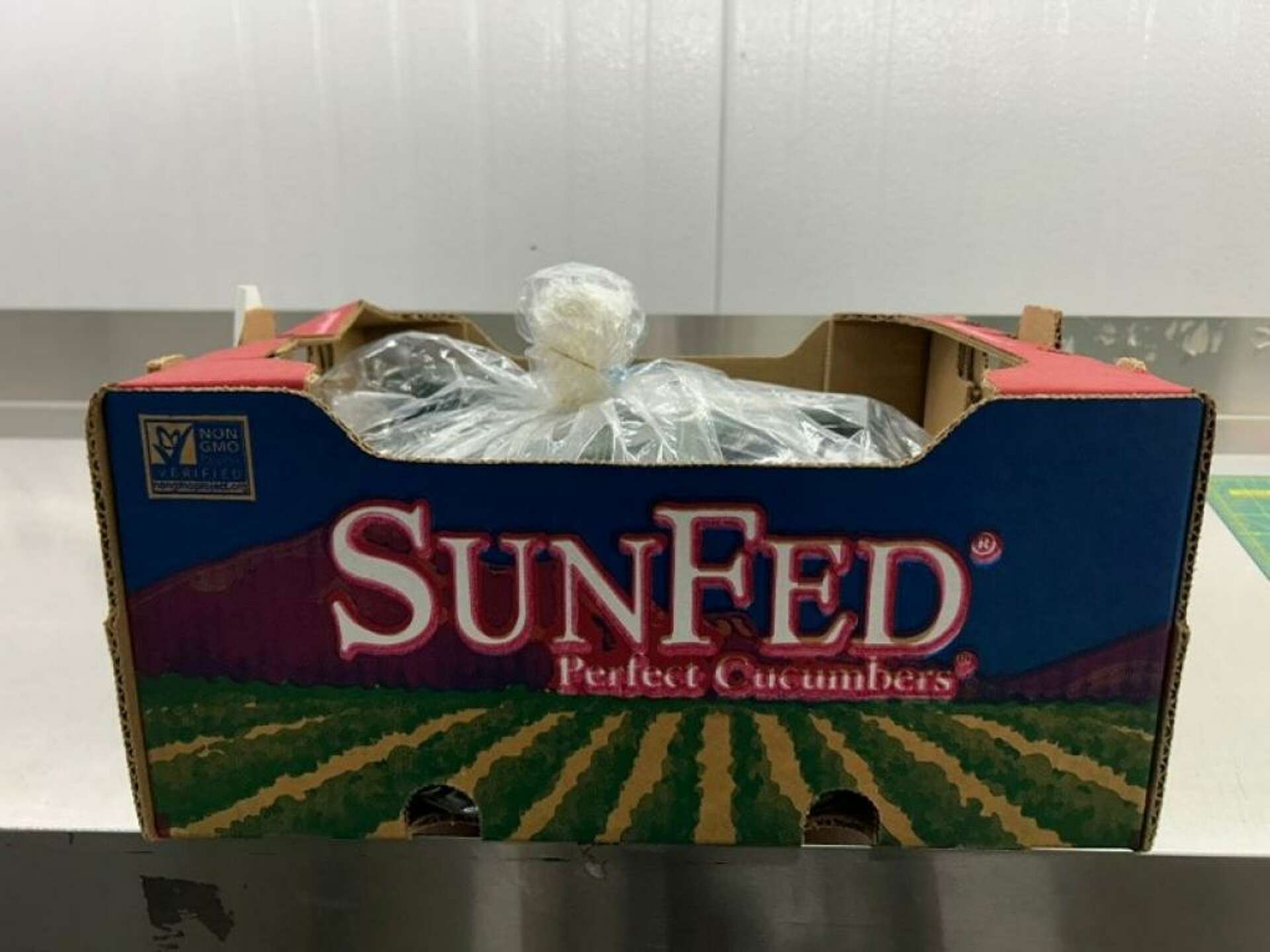 Cucumbers sold in California recalled due to salmonella risk