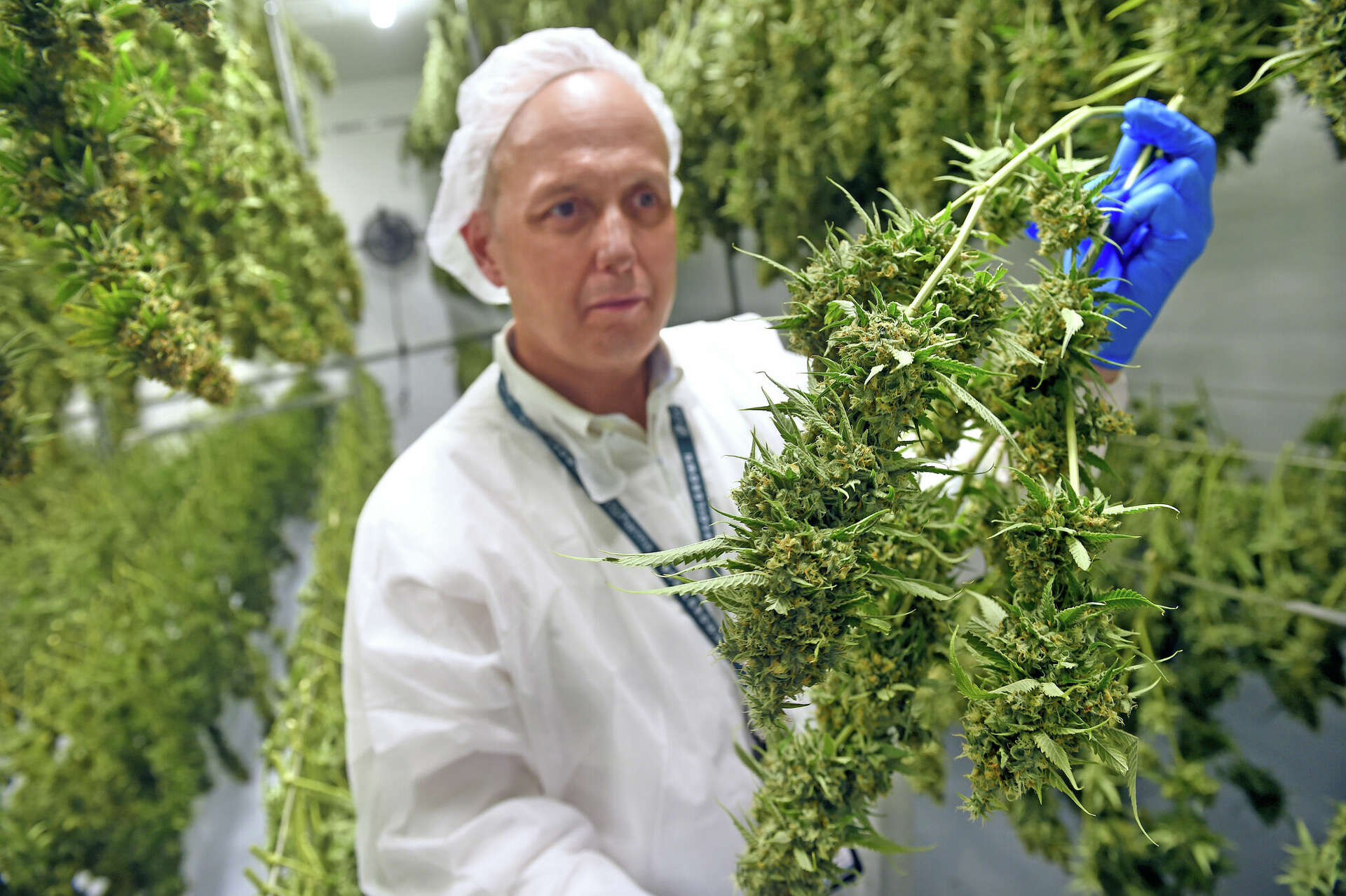 What Trump rescheduling cannabis will mean for consumers in CT