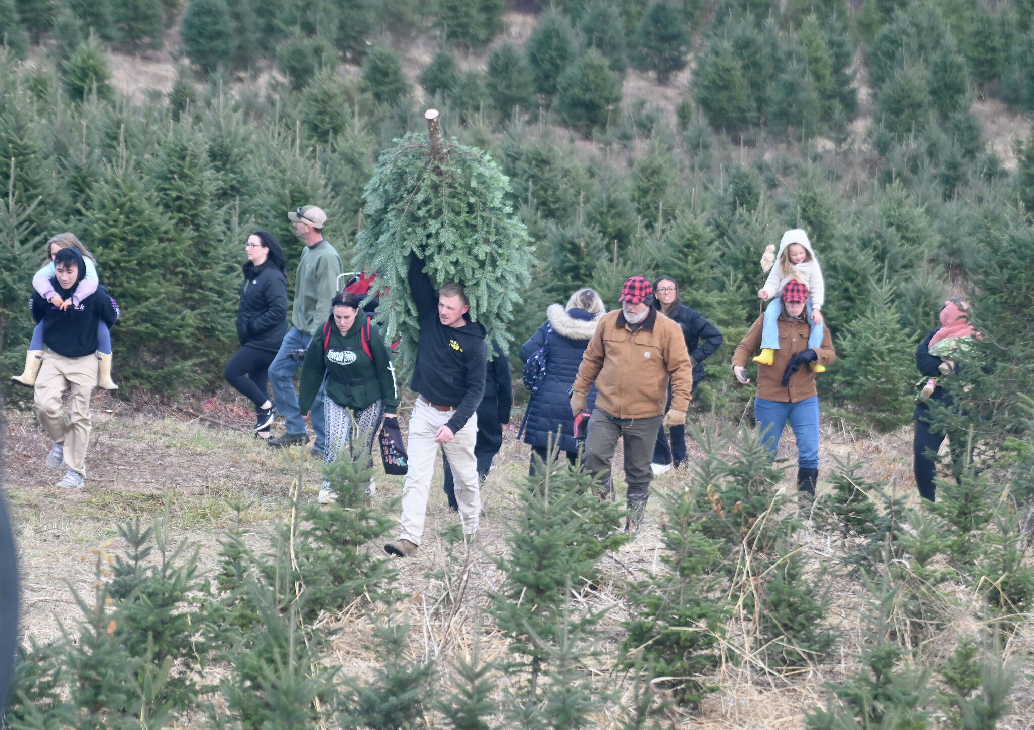 Sunny and chilly in CT Tuesday ahead of snowstorm, NWS says