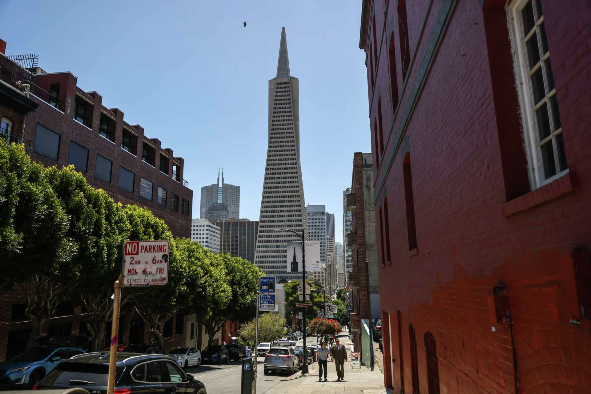 S.F. tech founder on 84-hour workweek: ‘Because I’m San Franciscan’