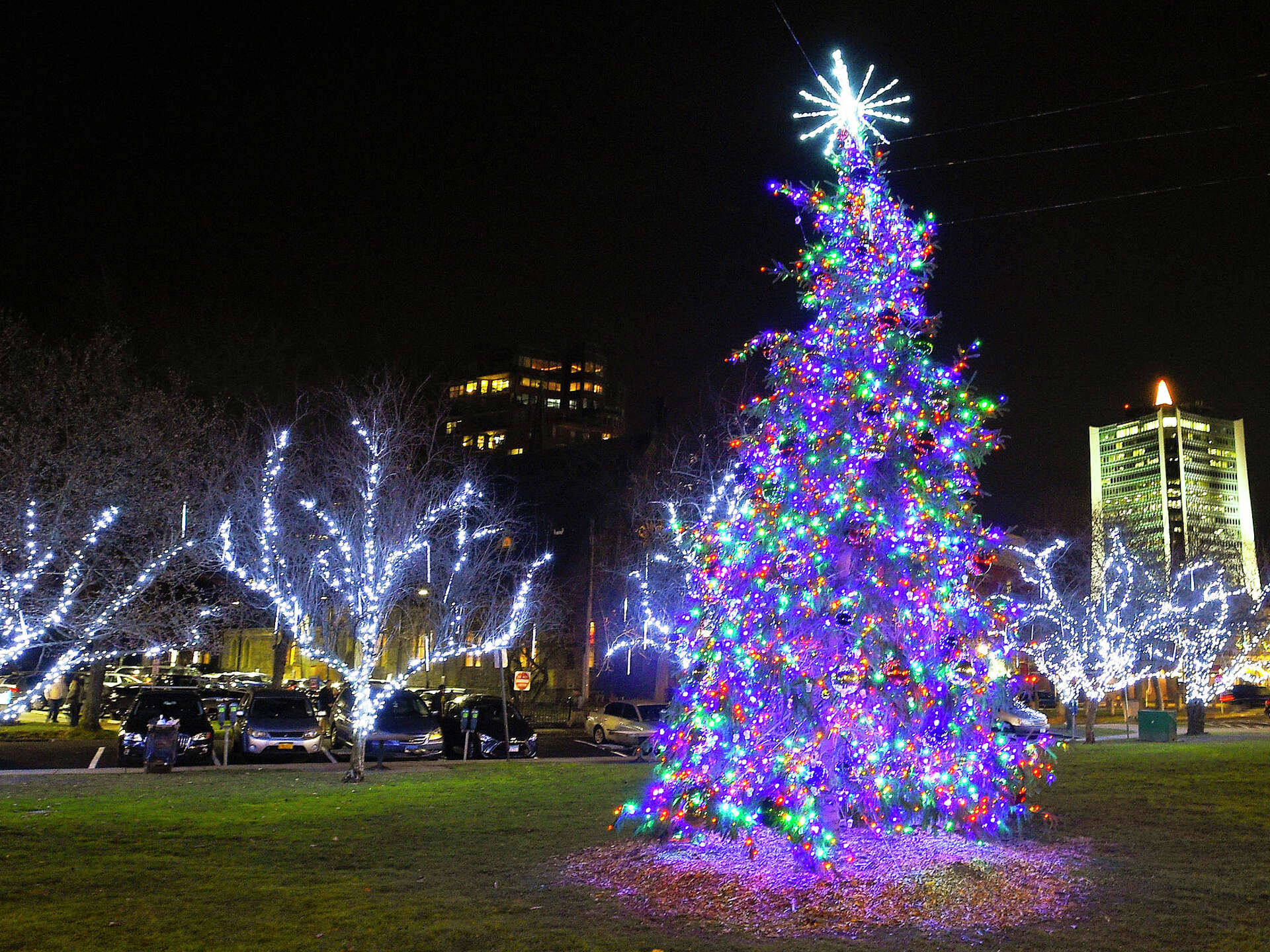 Holiday tree lightings to be held across Connecticut in 2025