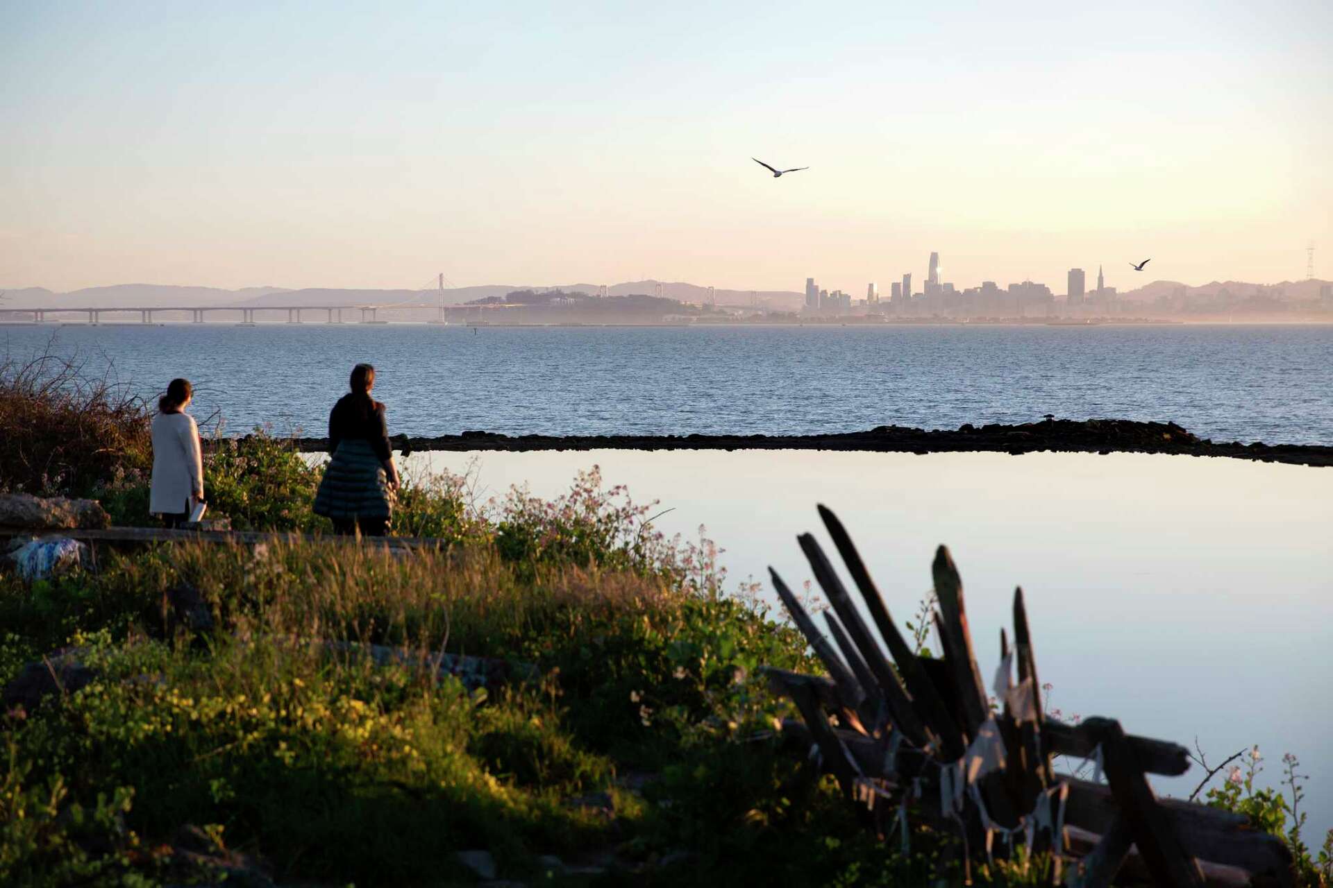 S.F. Bay Area park has areas of unusually high radiation