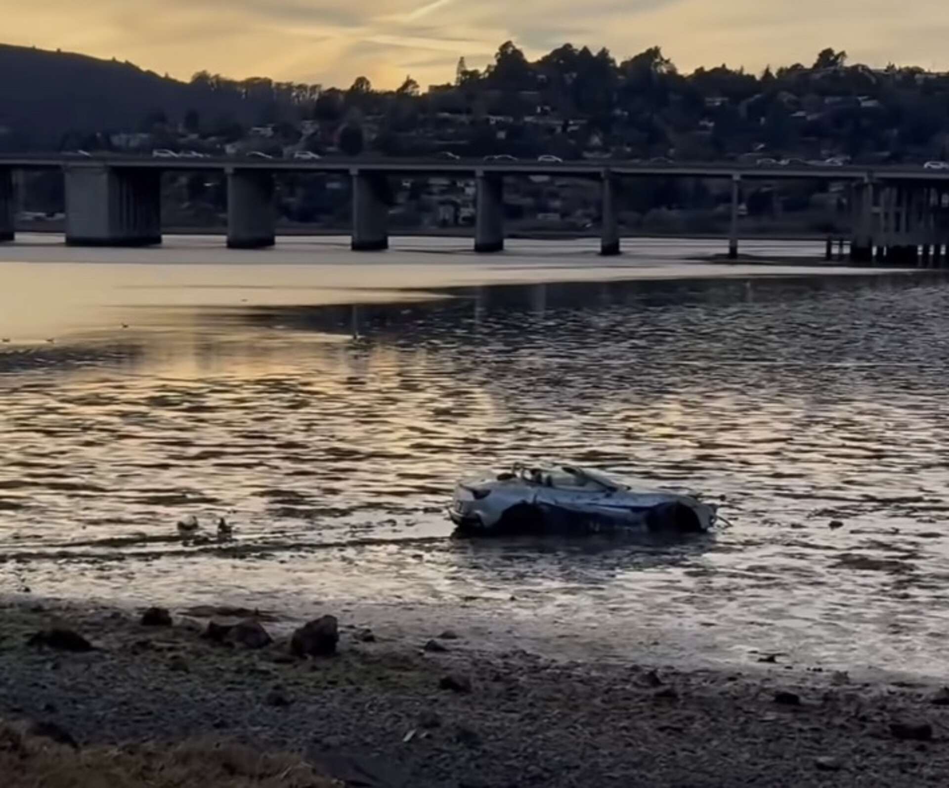 Ferrari takes flight before crashing into Richardson Bay in Marin