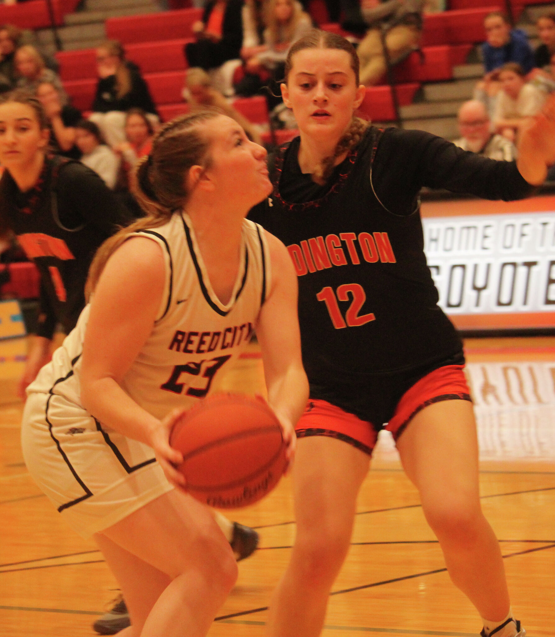 Reed City girls lose squeaker to Ludington