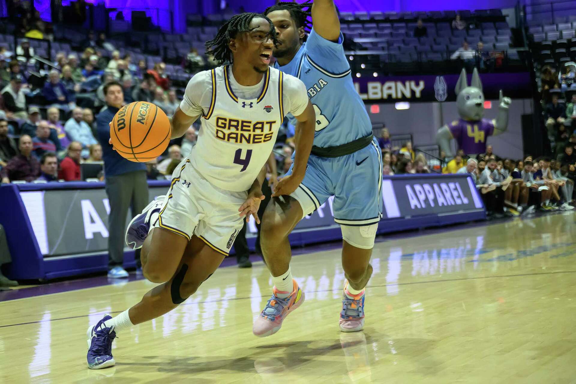UAlbany Great Danes