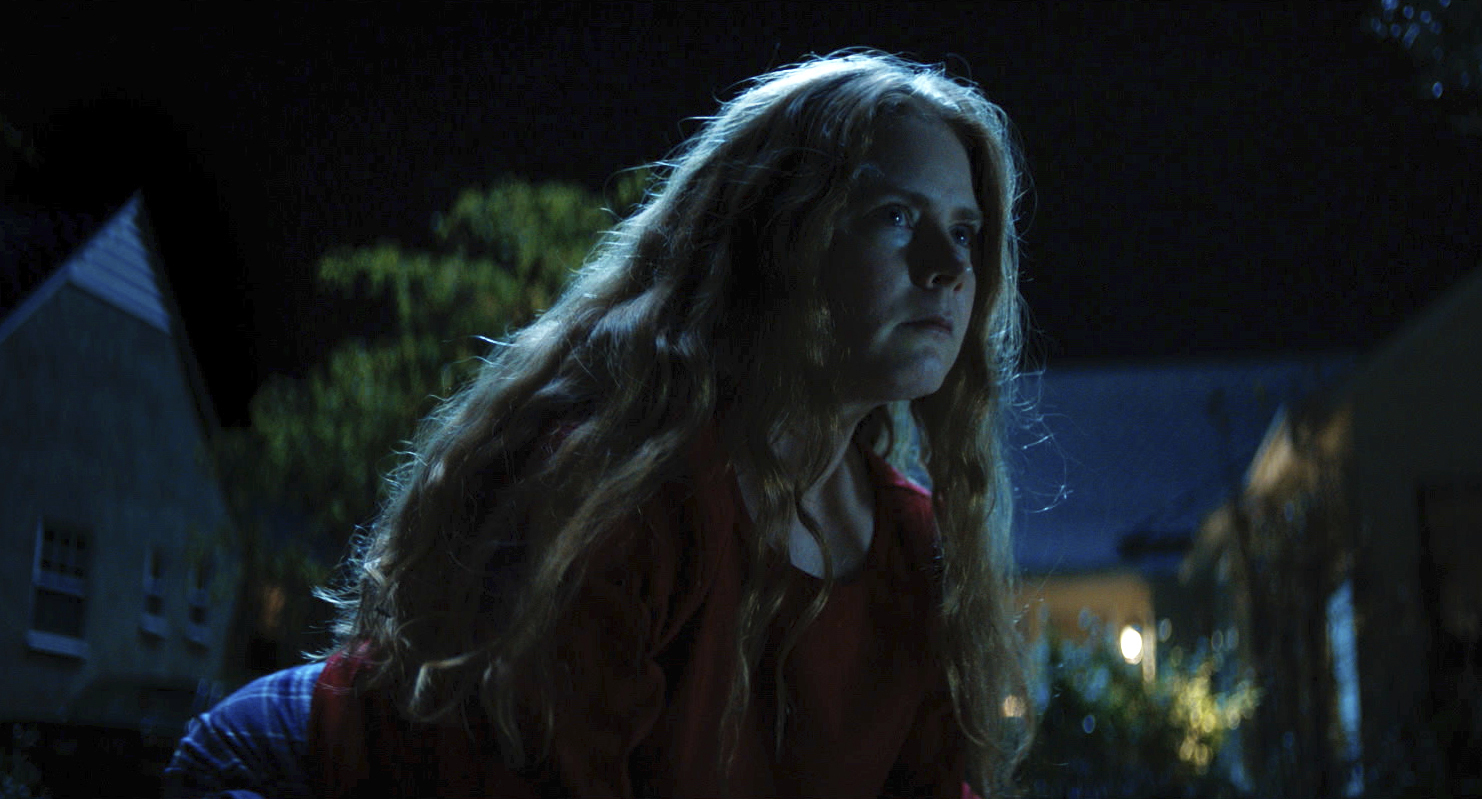 New Amy Adams thriller has specific target audience