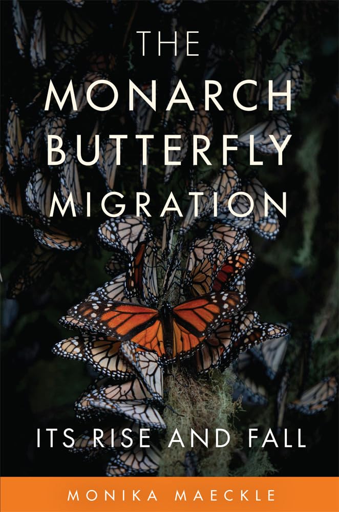 Gardening gift idea? Try San Antonio author's book on monarchs.