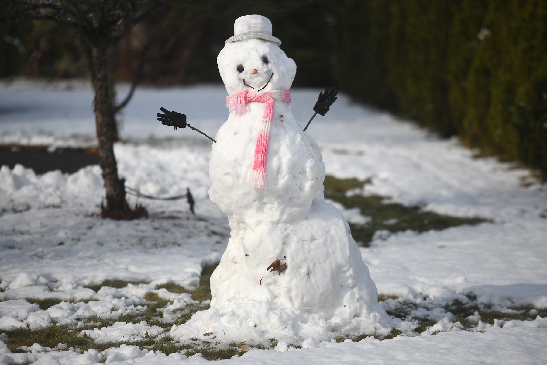 Alberta clipper brings snow and deep freeze to CT this weekend: NWS