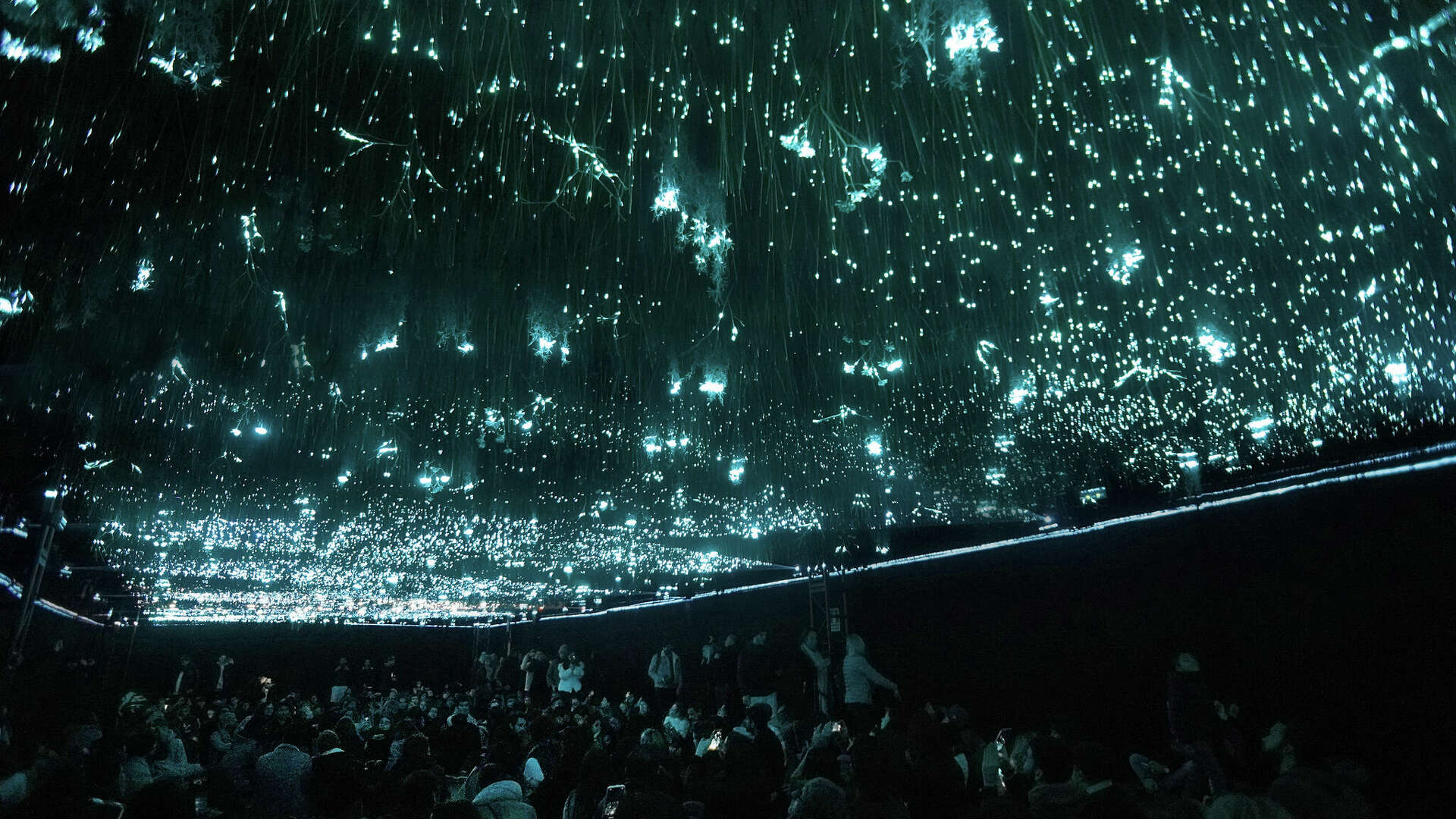 Art Club Houston revives Day for Night festival's bold approach