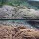 Earthquake impacts endangered Devils Hole pupfish habitat