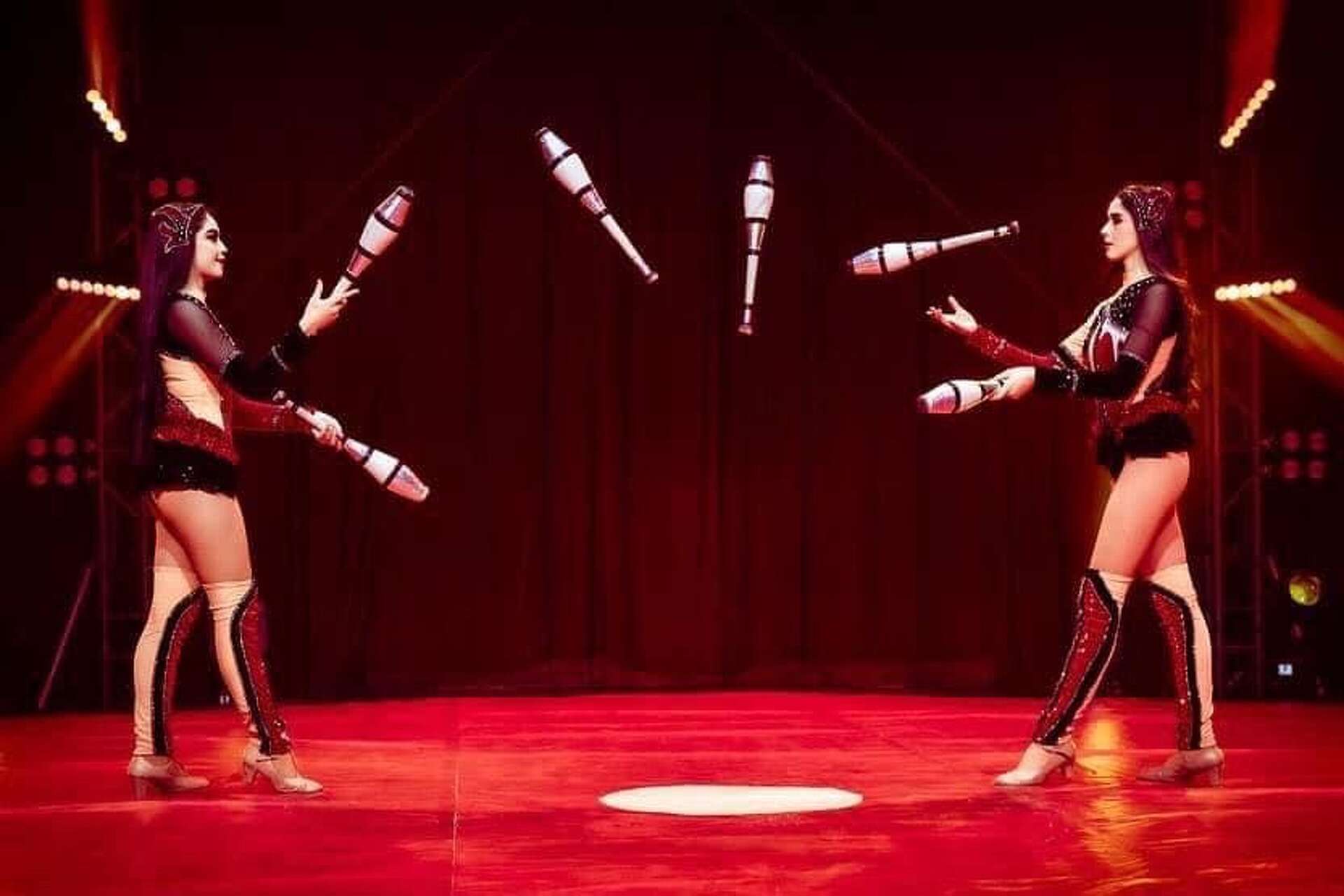 Cirque Du Luxe coming to Laredo Fairgrounds in January