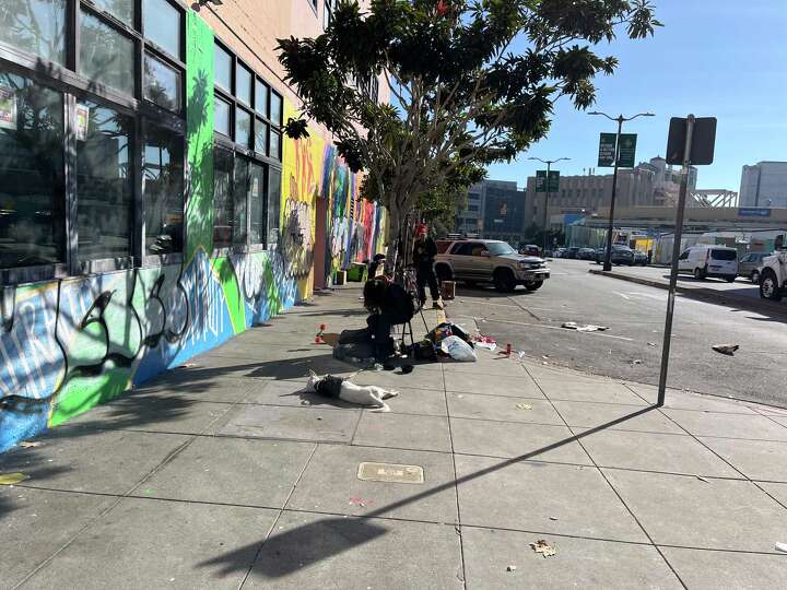 San Francisco street survey reveals which city blocks are the poopiest