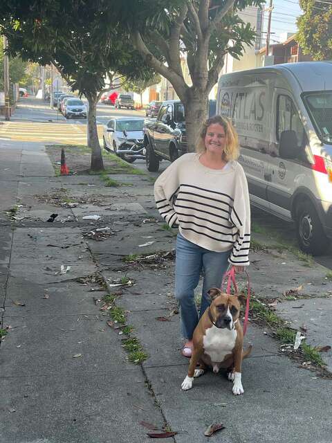 San Francisco street survey reveals which city blocks are the poopiest