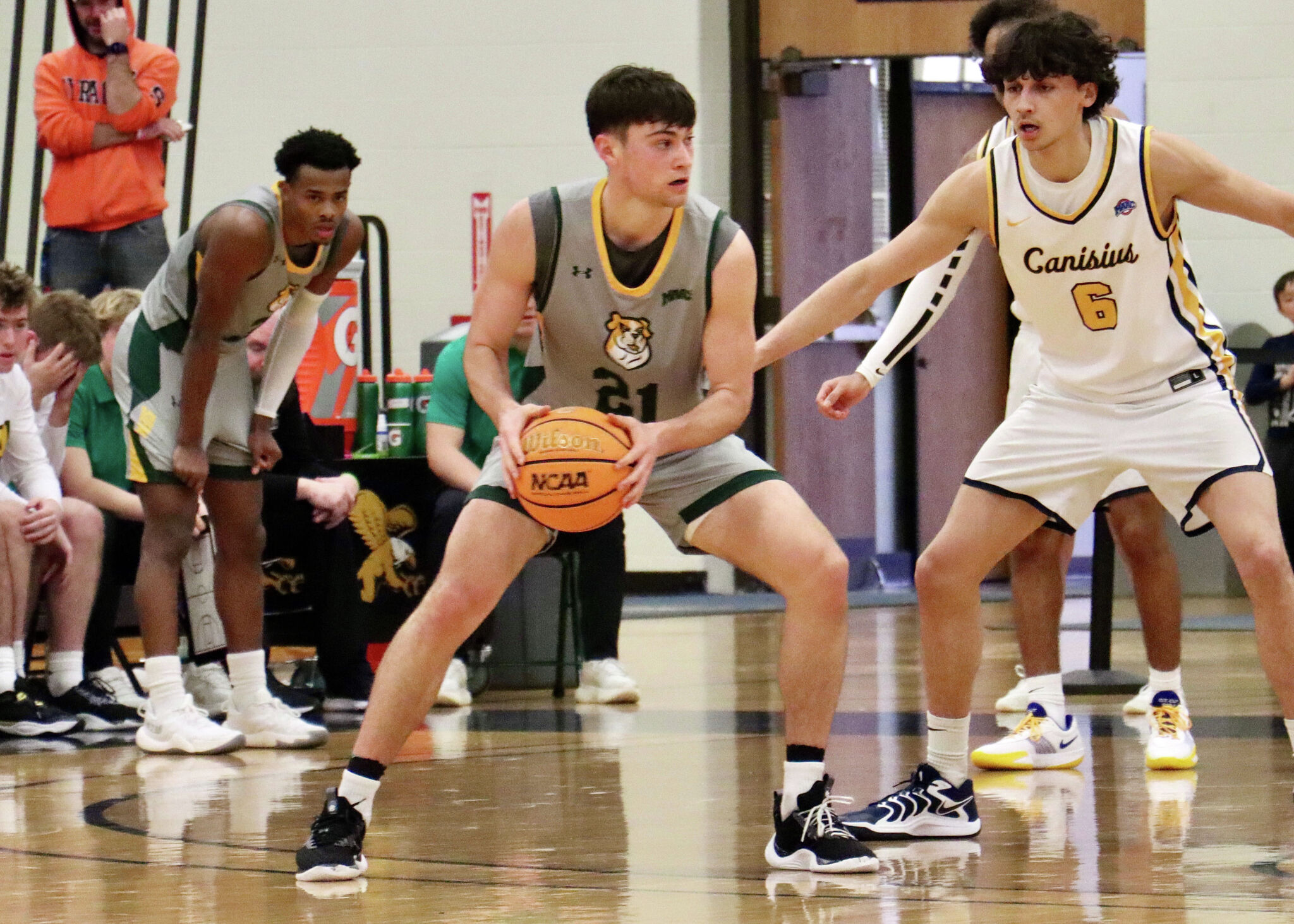 Coyle, Shoats lead Siena men's basketball past Canisius