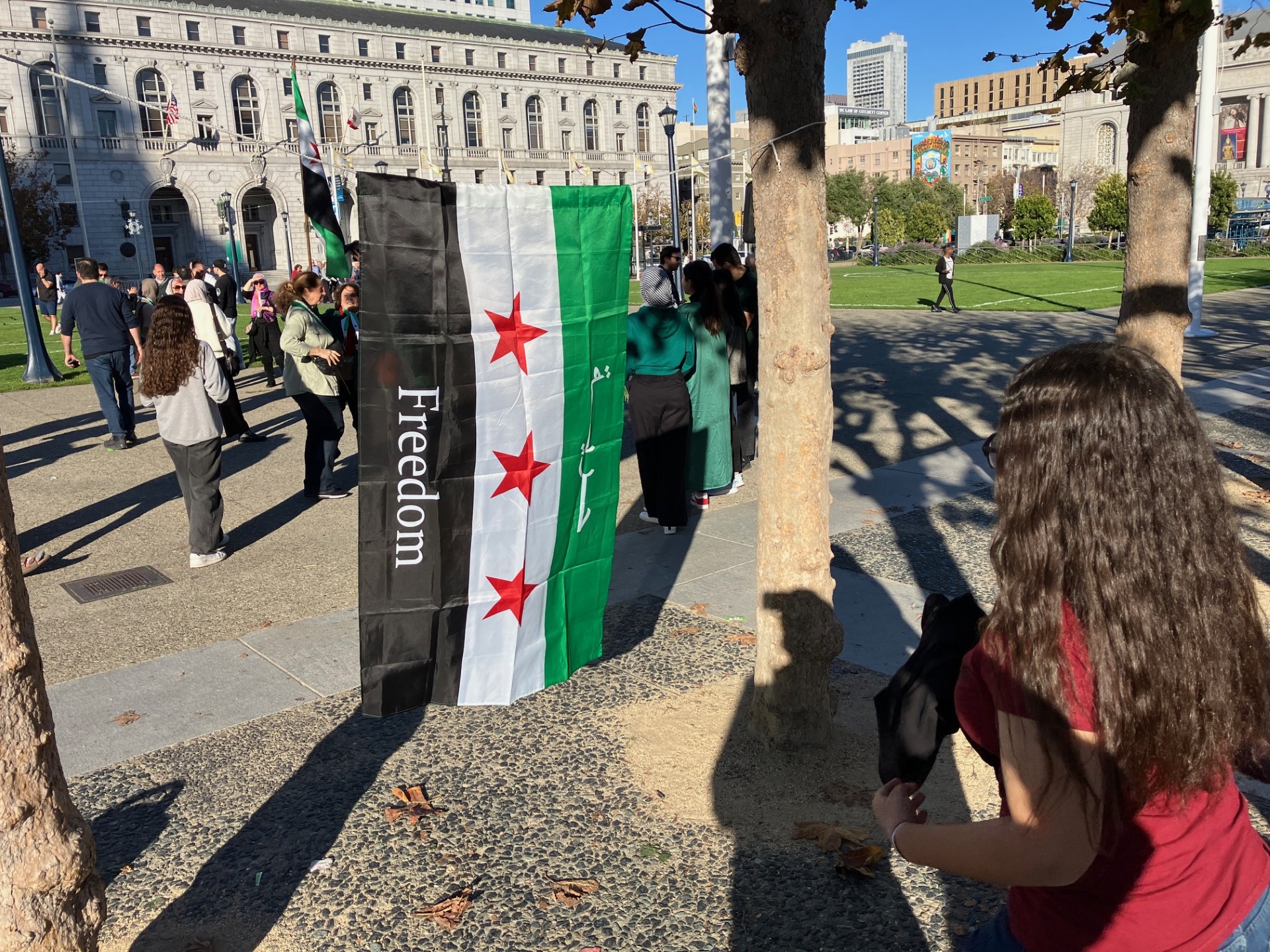 Syrians rally at S.F. City Hall to celebrate Assad ouster