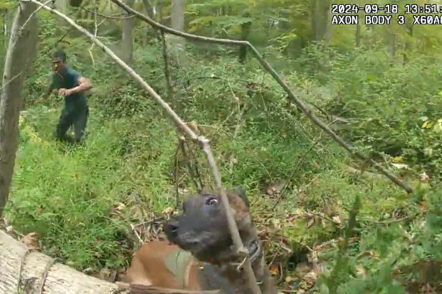 Ali Ali fatal shooting police body camera footage released