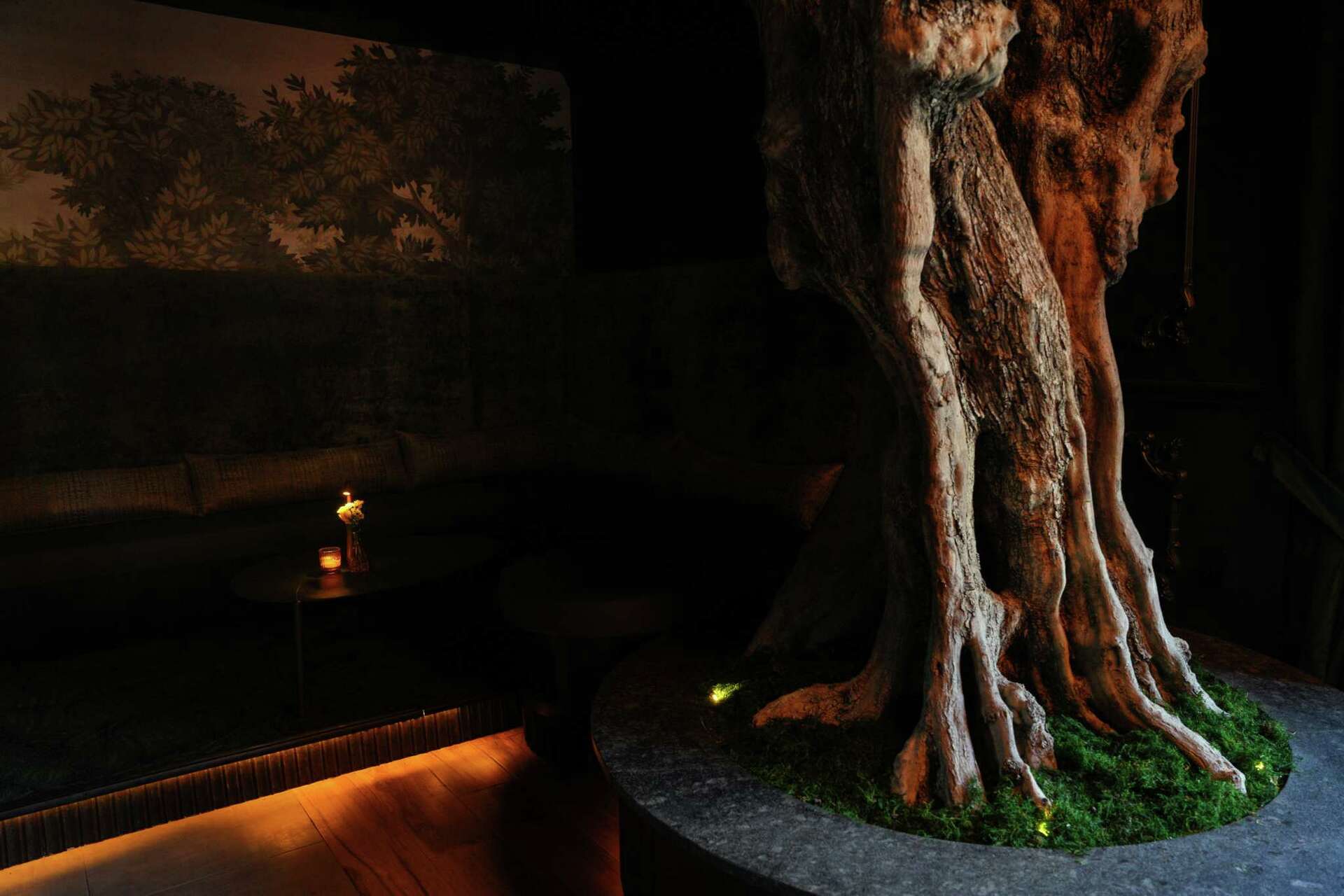 Santé Lounge opens in Houston with art-focused cocktails