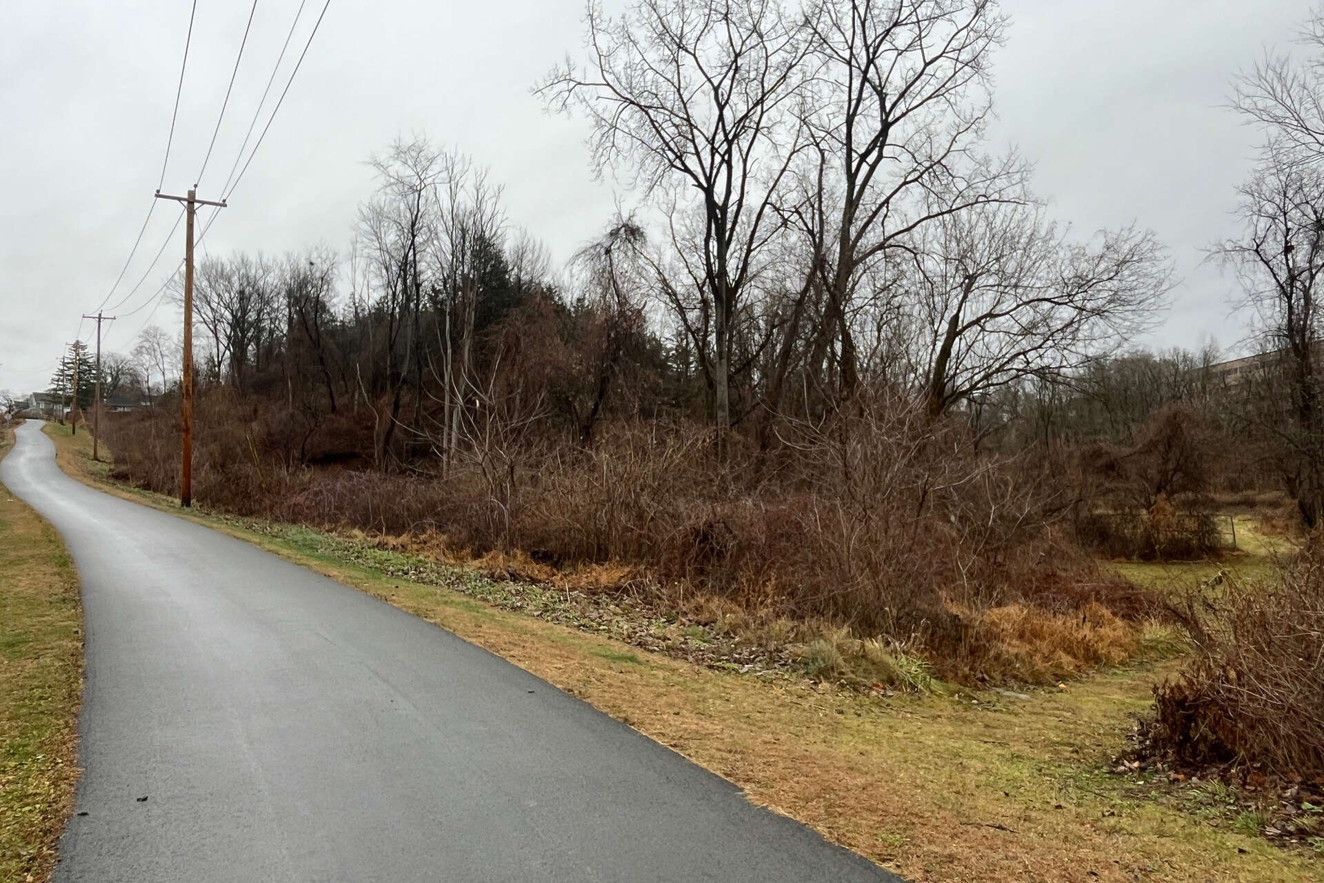 Human skeletal remains found on Mill Street in Hudson